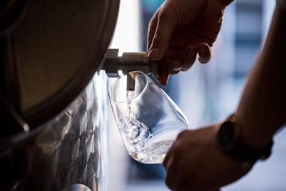 Wine-News-2021 | Weingut Venino